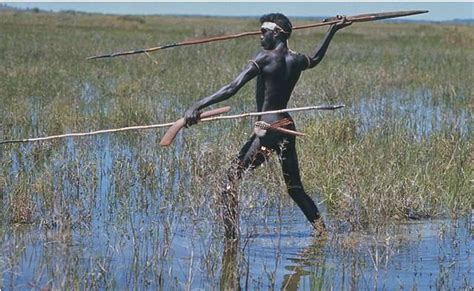 Untitled Collection Of Aboriginal Spear Throwers Aboriginal History