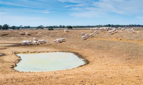 Supporting Drought Resilience Innovation In Tropical North Queensland
