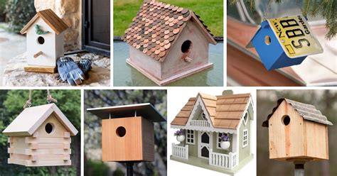 Homemade Bird Boxes