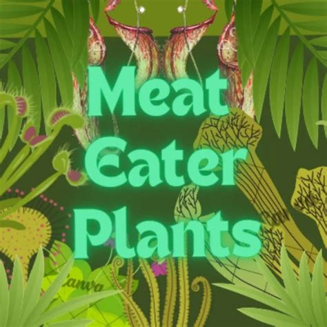 Meat Eater Plants Youtube