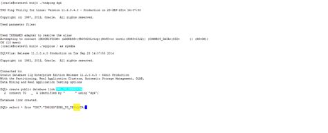 Oracle Database Gateway Installation On Linux X86 64 Bit To Connect To