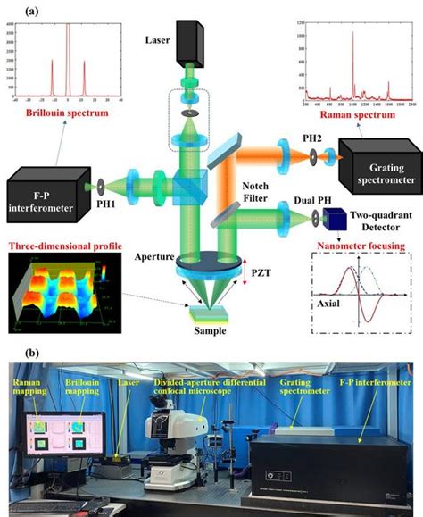 Laser Differential Confocal Raman Brillouin Spectrum Microscopy