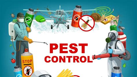 Prevention Tips Termite Technology