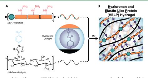 Figure 3 From A Library Of Elastin Like Proteins With Tunable Matrix