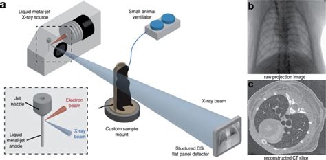 A Experimental Image Acquisition Setup Propagation Based Phase Download Scientific Diagram