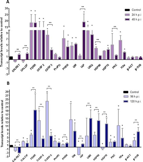 Differential Transcript Profile Of Target Genes In Ws Challenged