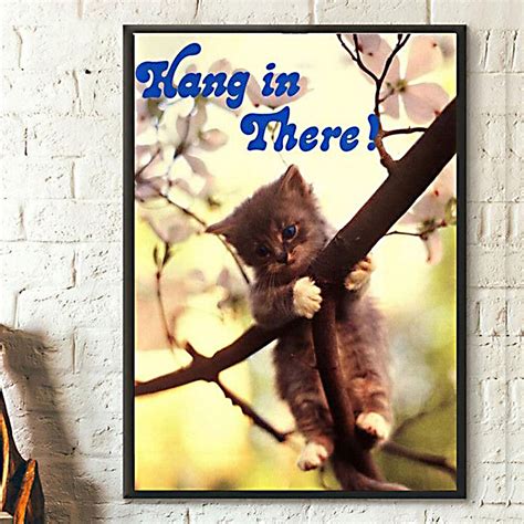 Hang In There Cat Iphone Wallpaper