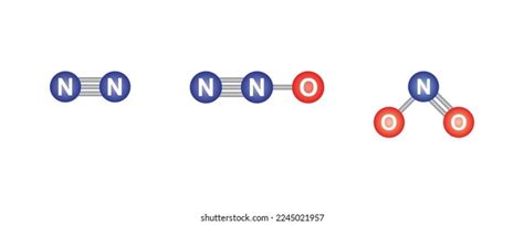 Nitrogen Nitrous Oxide Nitrogen Dioxide Molecular Stock Vector Royalty