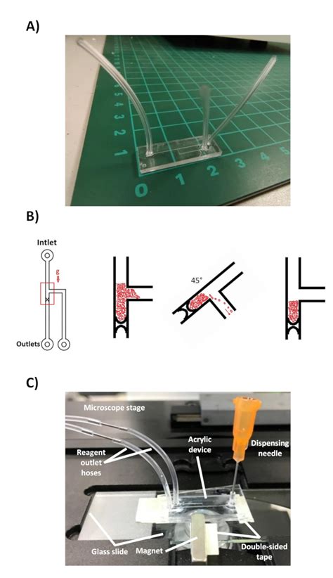 A Magnetic Nanoparticle Based Immunoassay Using A Microfluidic Device Scientific Article