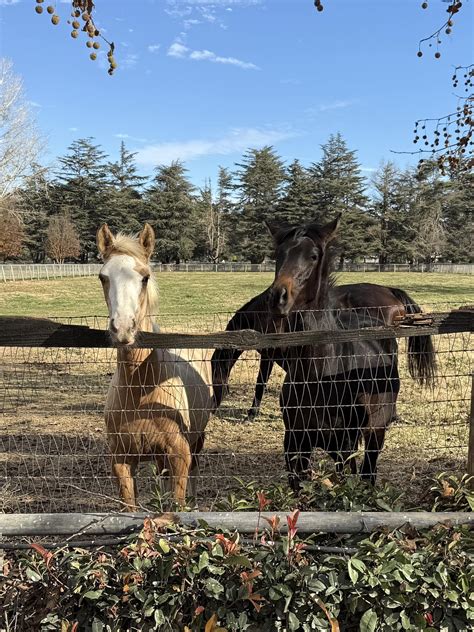 Jonathan Phemister Kennedy Thank You Leslie Nelson For Your Support