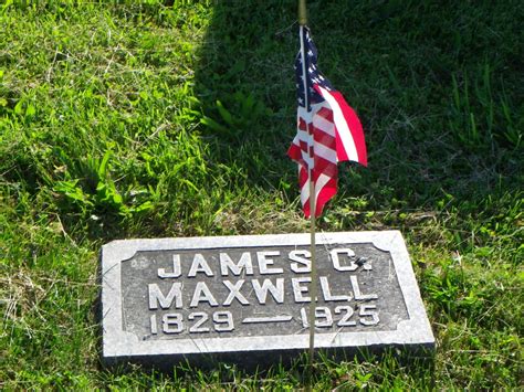 All The Nuts In The Tree J C Maxwell