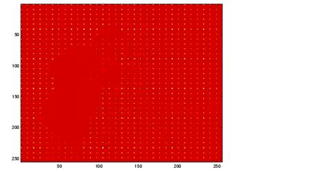 blkproc image processing toolbox