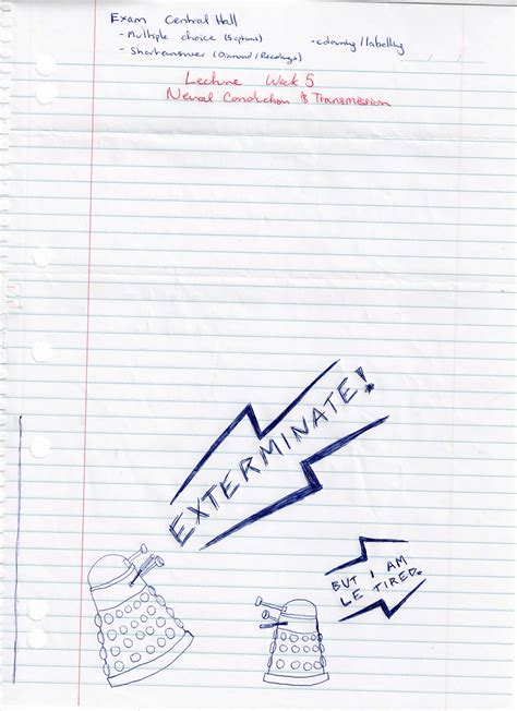 My Uni Lecture Notes Album On Imgur