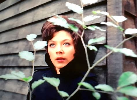Linda Thorson Actress Biography Photo Best Movies And Tv Shows