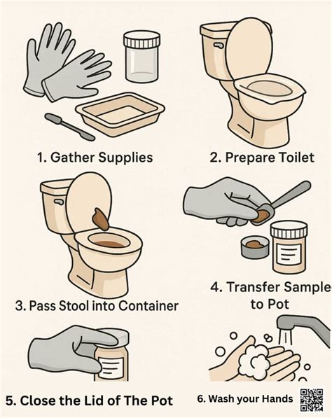 How To Collect Store And Submit A Stool Sample Correctly