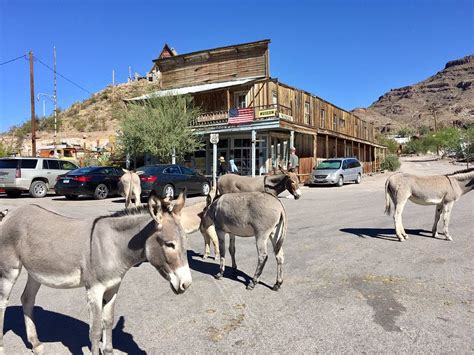 The 10 Best Things To Do In Oatman 2025 Must See Attractions