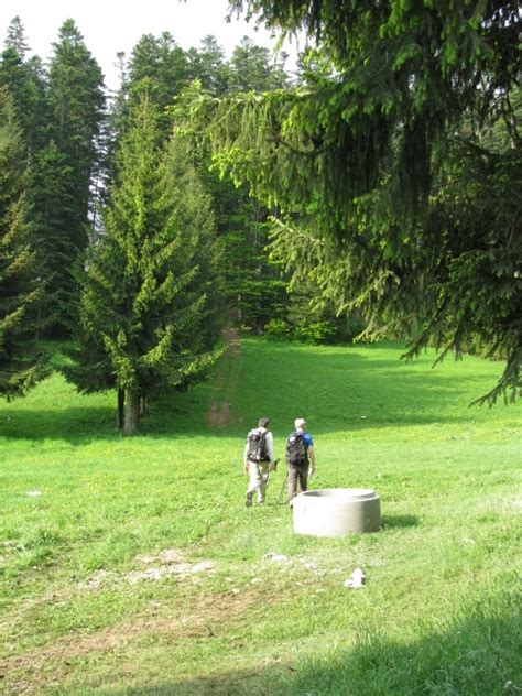 Valea Babei Bucegi Muntii Carpati
