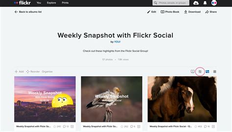 Icymi Flickr News And Updates December 2024 Flickr Blog