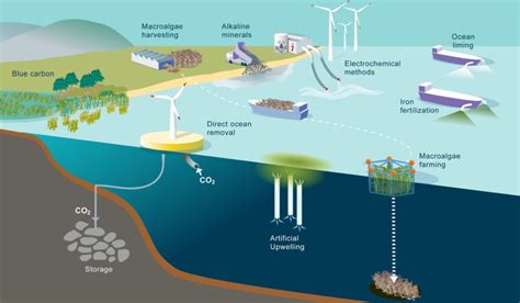 Marine Carbon Removal At Sea Why Robust Mrv Matters For The Future Of