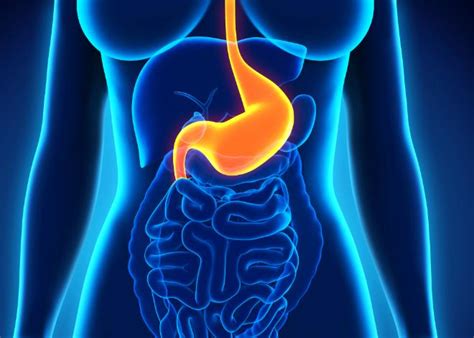 什么是消化性溃疡?找出这四个原因,学会提前预防 12健康 什么是消化性溃疡?找出这四个原因,学会提前预防 12健康