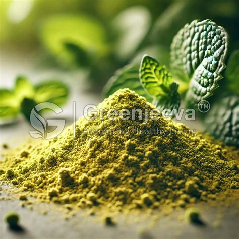 Peppermint Leaf Powder Supplier Bulk Peppermint Leaf Powder