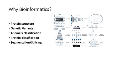 Ppt Deep Learning In Bioinformatics Powerpoint Presentation Free