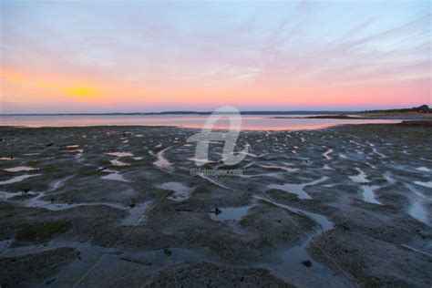 Christophe Mathys Switzerland Contemporary Photographer Artist