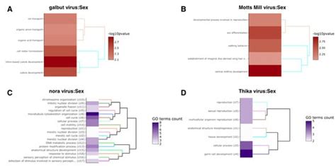 Viruses Free Full Text Viruses In Laboratory Drosophila And Their