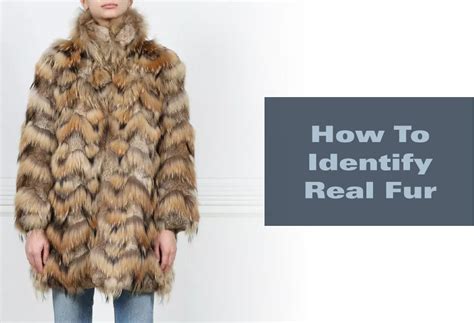 How To Become An Expert At Identifying Real Fur Pologeorgis