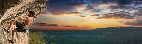 Vesa Interface Standards For The Display Industry