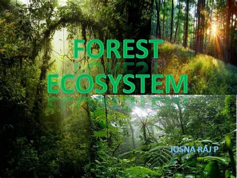 Forest Ecosystem Pptx