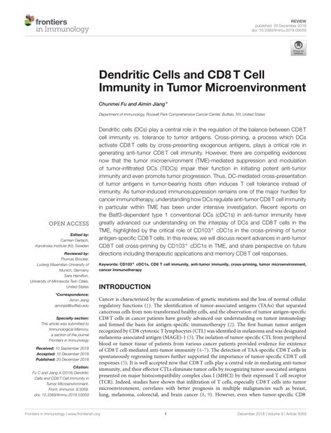 Pdf Dendritic Cells And Cd8 T Cell Immunity In Tumor Microenvironment