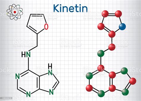 Kinetin Molecule It Is Plant Hormonestructural Chemical Formula And