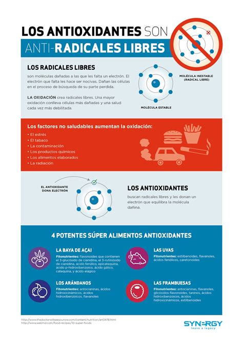 NutriciÓn Celular Vegetariana Nueva InfografÍa De Los Antioxidantes