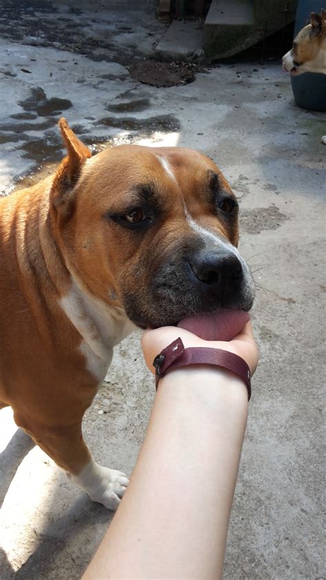 Small Town Cryptid On Tumblr