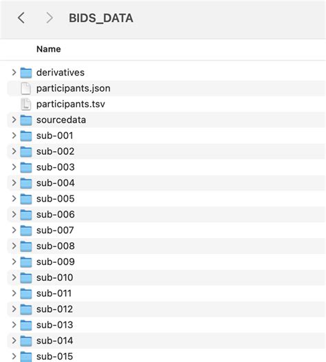 Bids Filter File On Fmri Prep Error Message Software Support