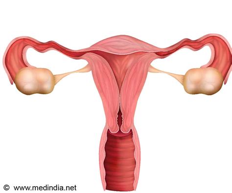 Broken Female Ovary