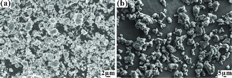 Sem Micrographs A Tic Powder B B Powder Download Scientific Diagram