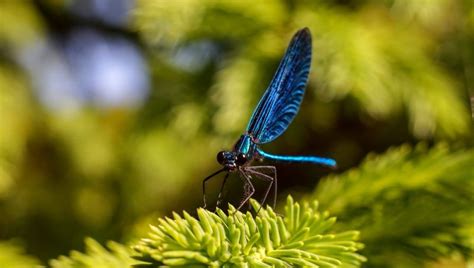 Verify Recruitment On Linkedin Morethantech Stories Techcommunity Lithuania Passions Drones…