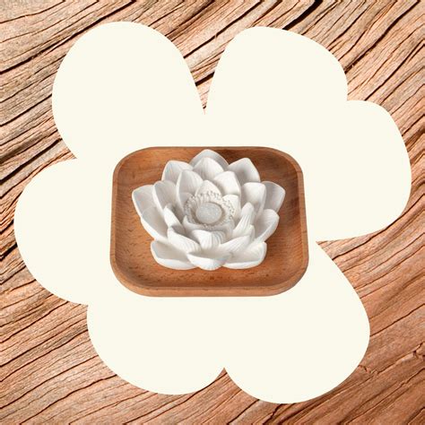 Passive Lotus Diffuser Plant Therapy Australia