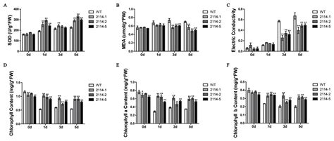 Genome Sequencing Of Aspergillus Glaucus ‘ccha Provides Insights Into