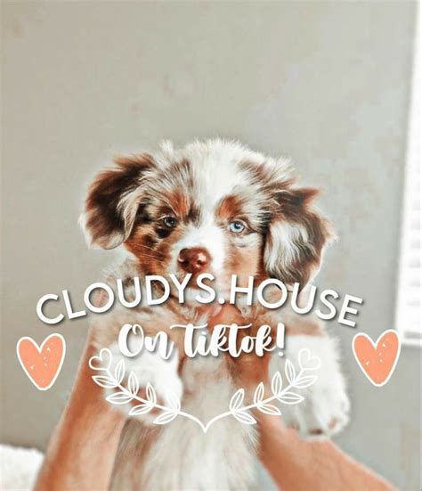 Descubra 11 Ideias De Soft Names Nesta Pasta Do Pinterest Nome Foto