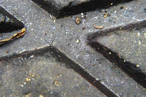 Tips For Macro Photography With A Magnifying Glass