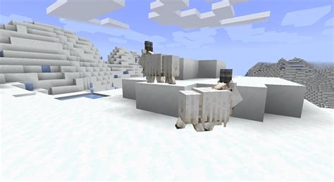 How To Get A Goat Horn In Minecraft 2022 Beebom