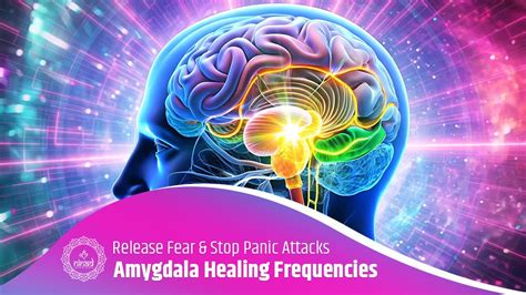 Amygdala Healing Frequencies Calm Anxiety Release Fear And Stop Panic