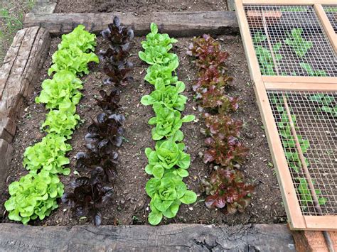 Diy Wormery How To Make A Worm Compost Bin • Craft Invaders