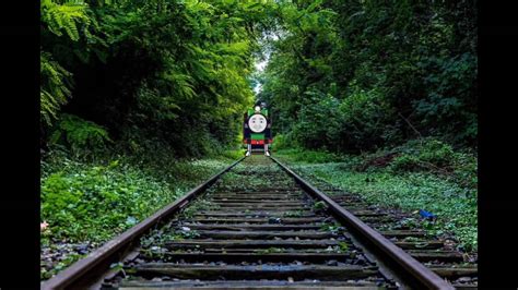 Hotr Bushes Patchwork Hiro By Charlieaat On Deviantart