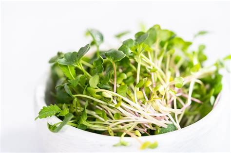 Premium Photo Microgreens