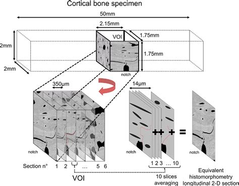 Figure 2 From Quantification Of Nonlinear Elasticity For The Evaluation Of Submillimeter Crack