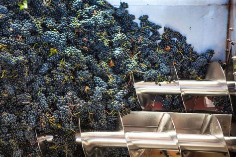 ¿cómo Se Hace El Vino Segura Viudas